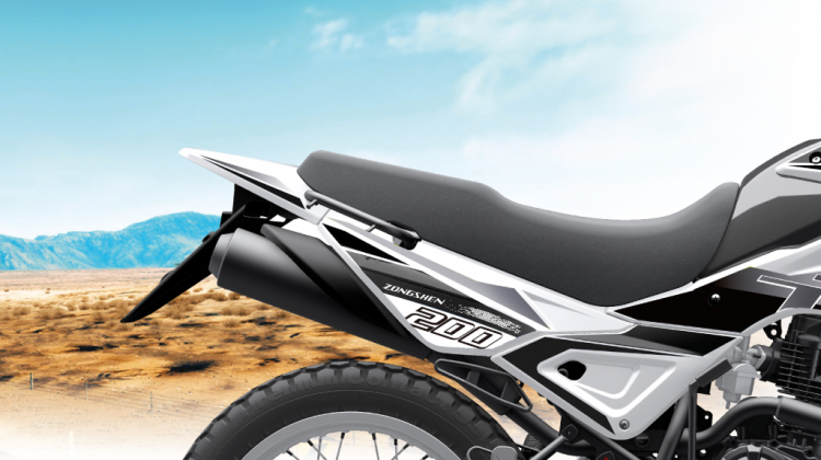 ZS200 GY-9 | ZONGSHEN